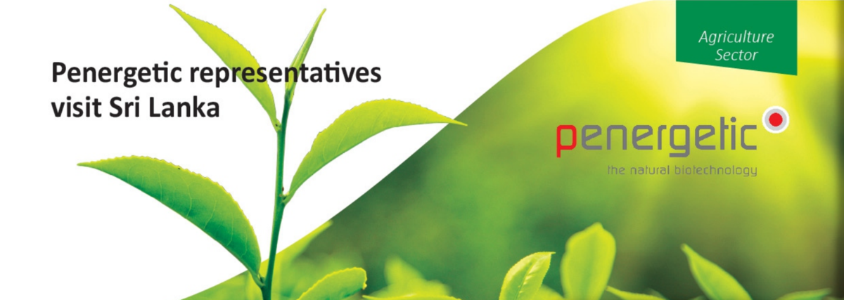 ynergy Newsletter 2019/1: "Diesel & Motor Engineering PLC (DIMO ...